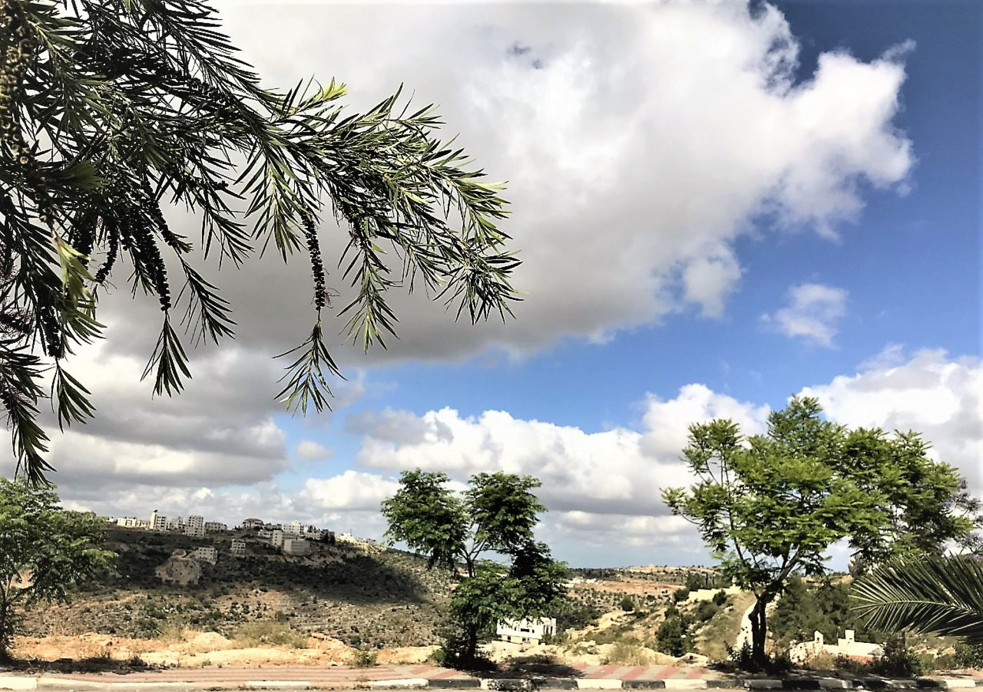 About – Mohamed Nasr